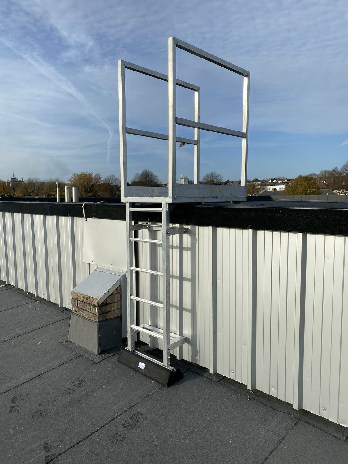 Safety Ladder Installs - Dash4Safety